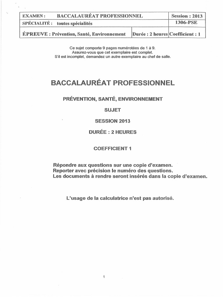 Pse Bac Pro 2013 | PDF