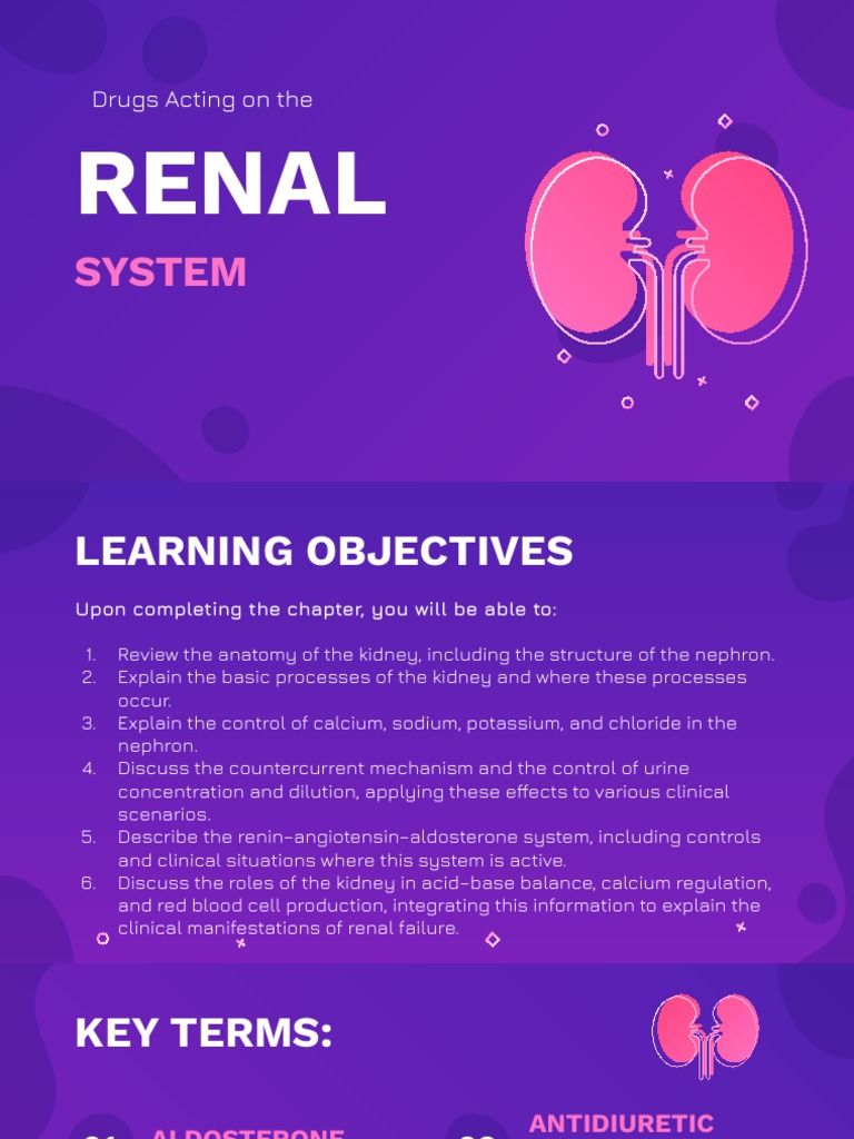 Renal System PPT (Pharmacology) | PDF | Kidney | Angiotensin