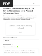 Seagull Ces Test Answers | PDF | Business | Technology & Engineering