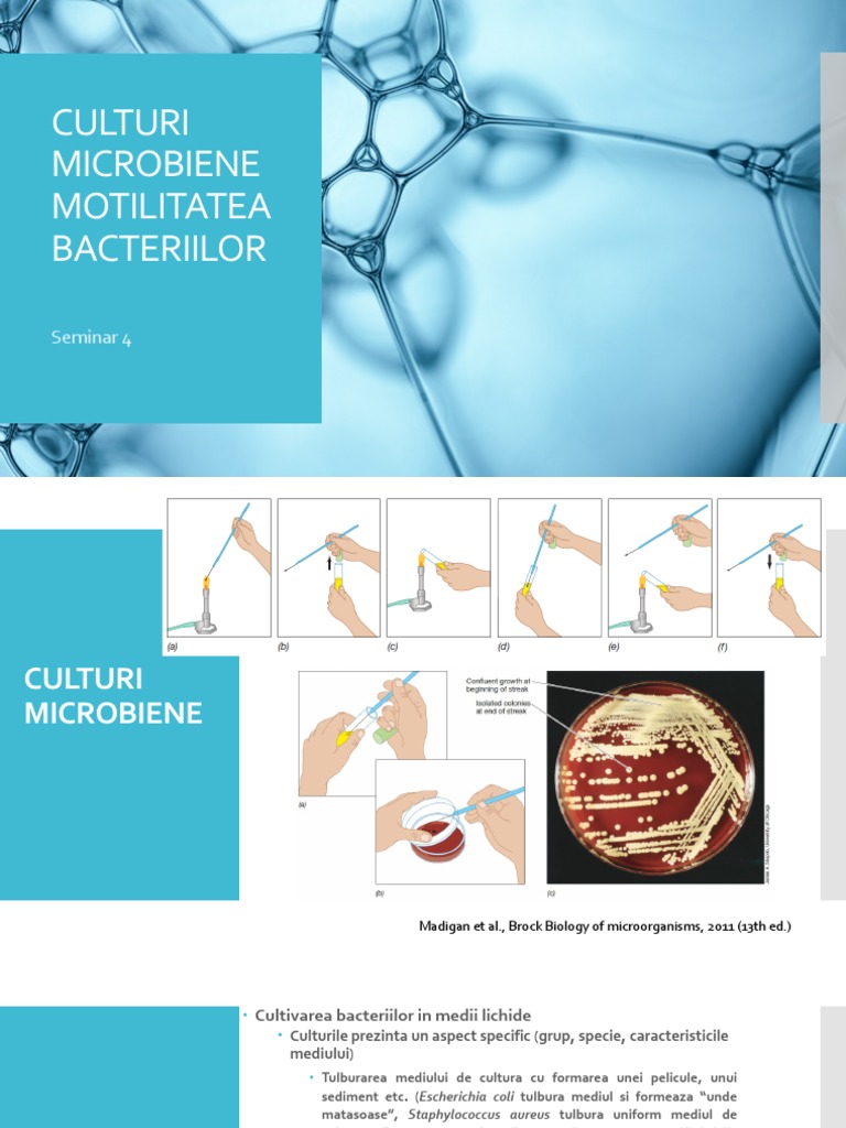 Cocoide Bacteria Cultivation Methods | PDF | Science & Mathematics