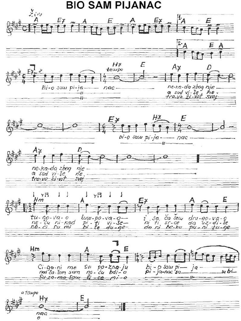 Bio Sam Pijanac Saban Saulic | PDF