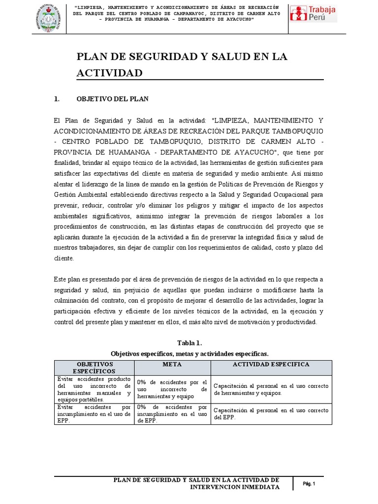 Plan de Seguridad y Salud en Obra | PDF | Valores | Riesgo