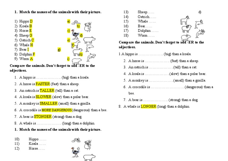 Animal Comparison and Matching Guide | PDF