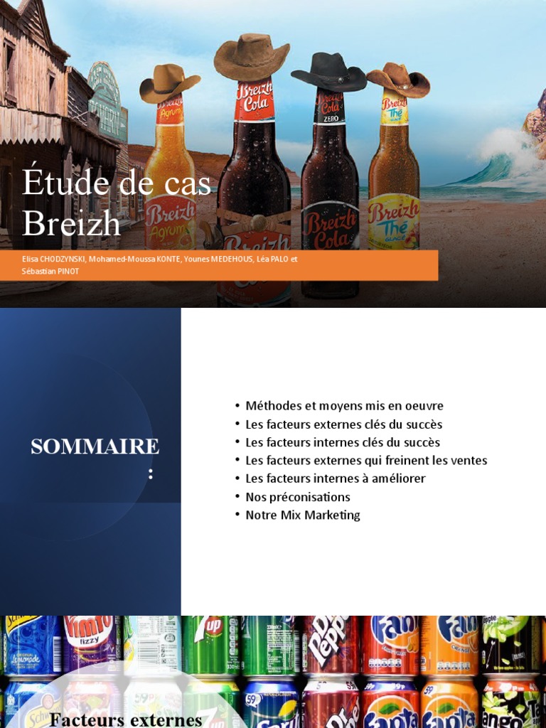 Étude de Cas Breizh: Elisa CHODZYNSKI, Mohamed-Moussa KONTE, Younes ...