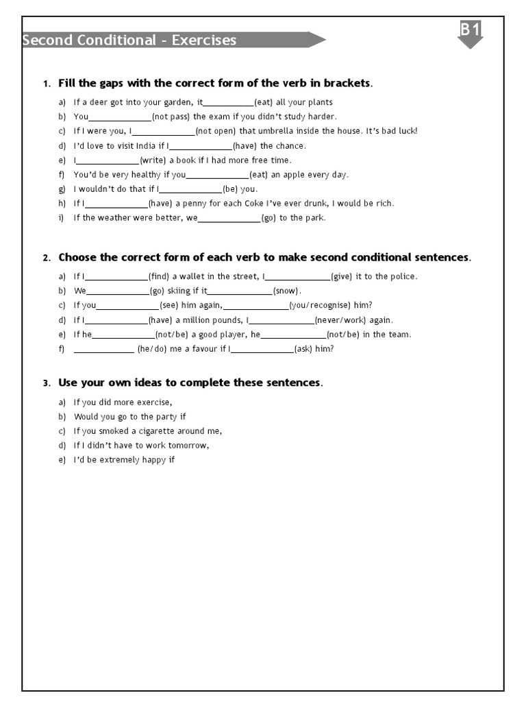 Homework - Second Conditional 2 | PDF