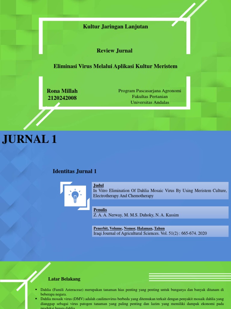 Rona Millah - 2120242008 - Tugas PPT 1 - Kuljar Lanjutan - Kultur Meristem | PDF