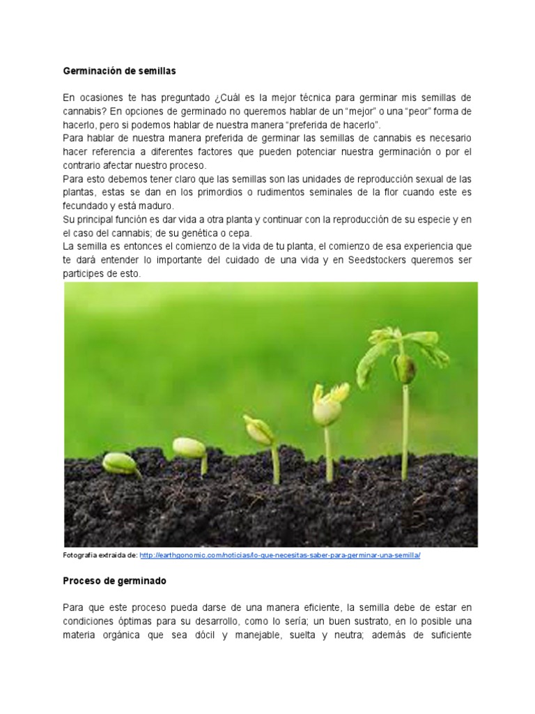 Germinación de semillas | PDF