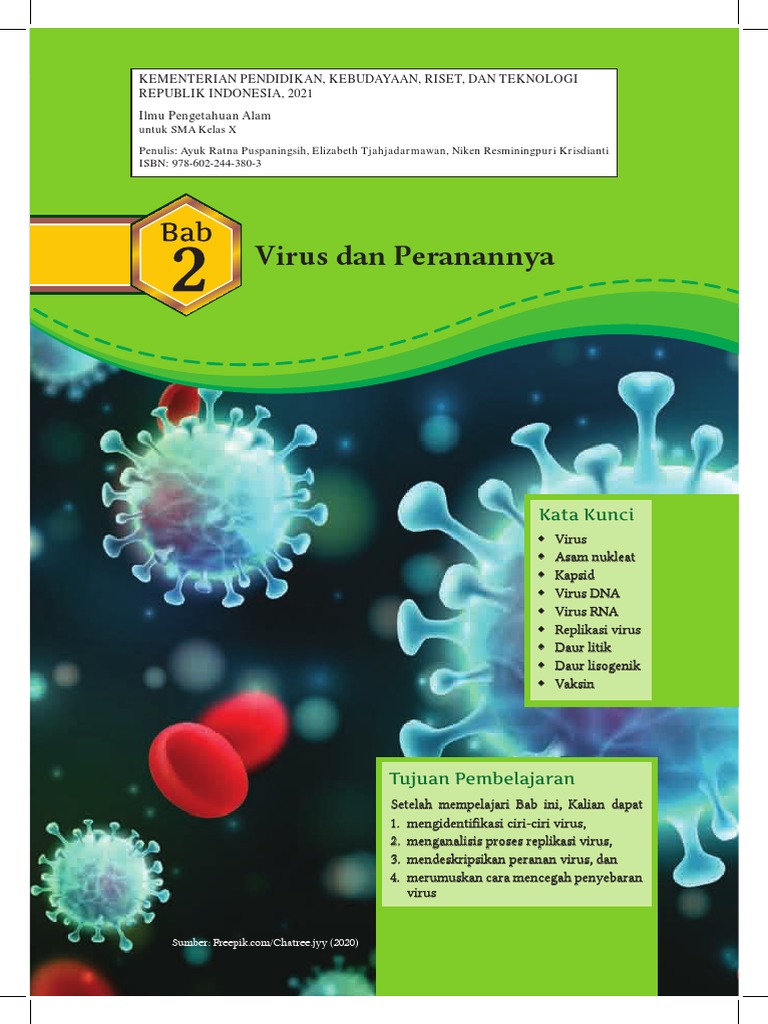BAB 2 - Virus | PDF