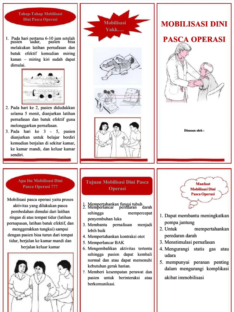 PDF Leaflet Mobilisasi - Compress | PDF