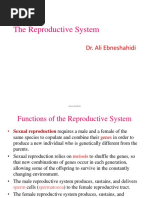 NCERT Class 12 Biology Human Reproduction | PDF | Menstrual Cycle ...