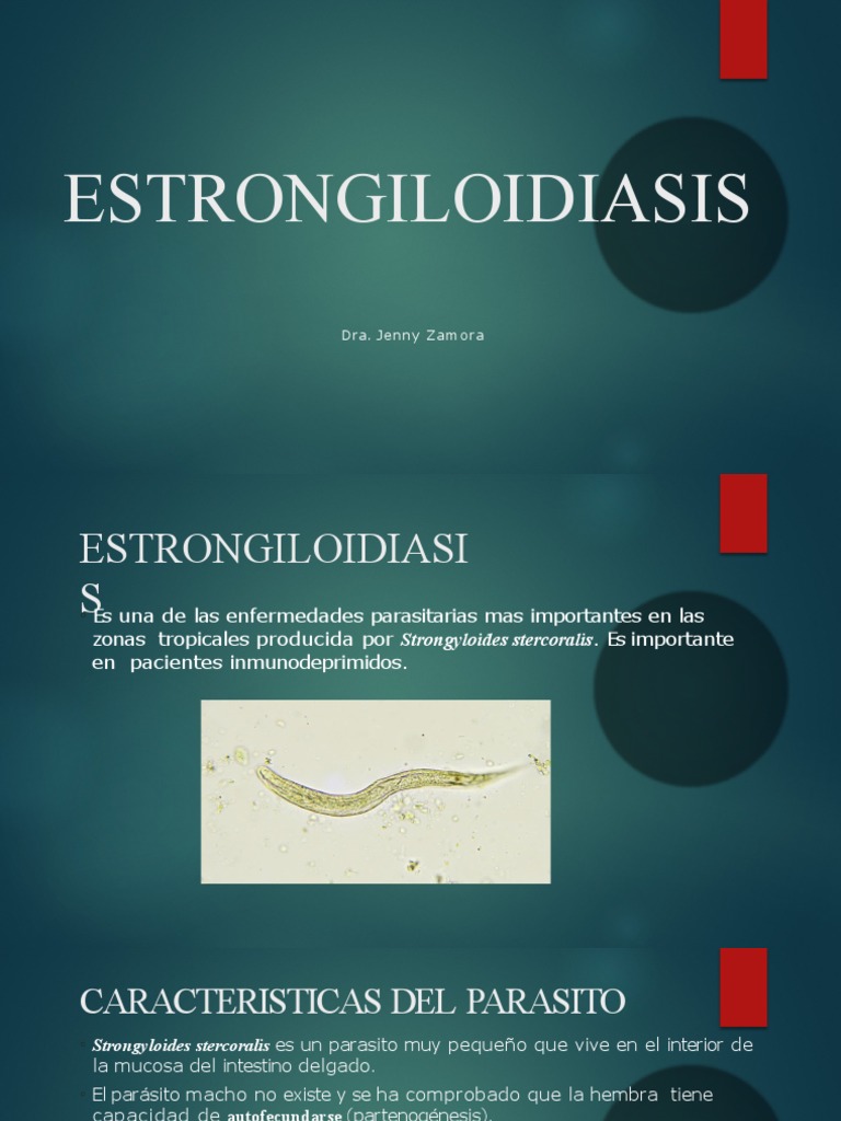 Estrongiloidiasis | PDF | Heces | Inmunología