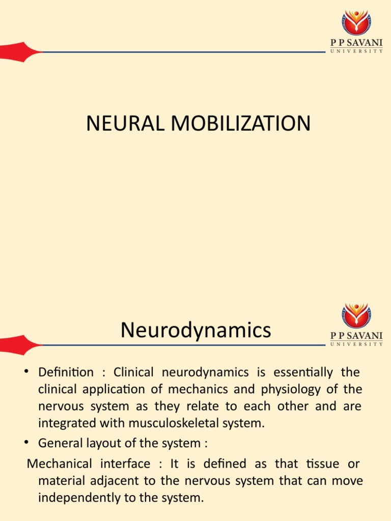 Neuro Dynamics | PDF | Nerve | Nervous System