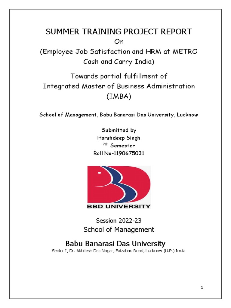 Summer Internship Project1 | PDF | Job Satisfaction | Employment