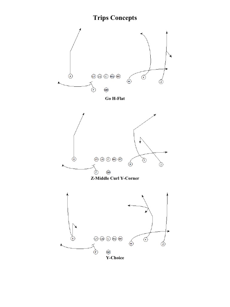 Trips Concepts | PDF