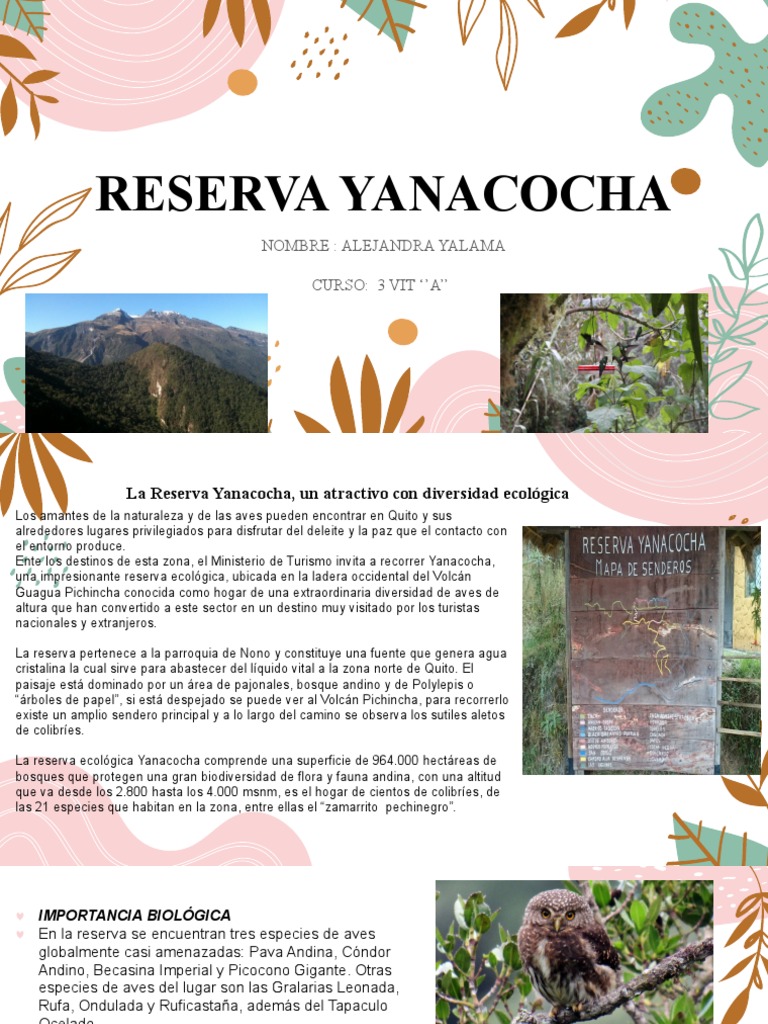 La reserva Yanacocha | PDF | Andes | Organismos