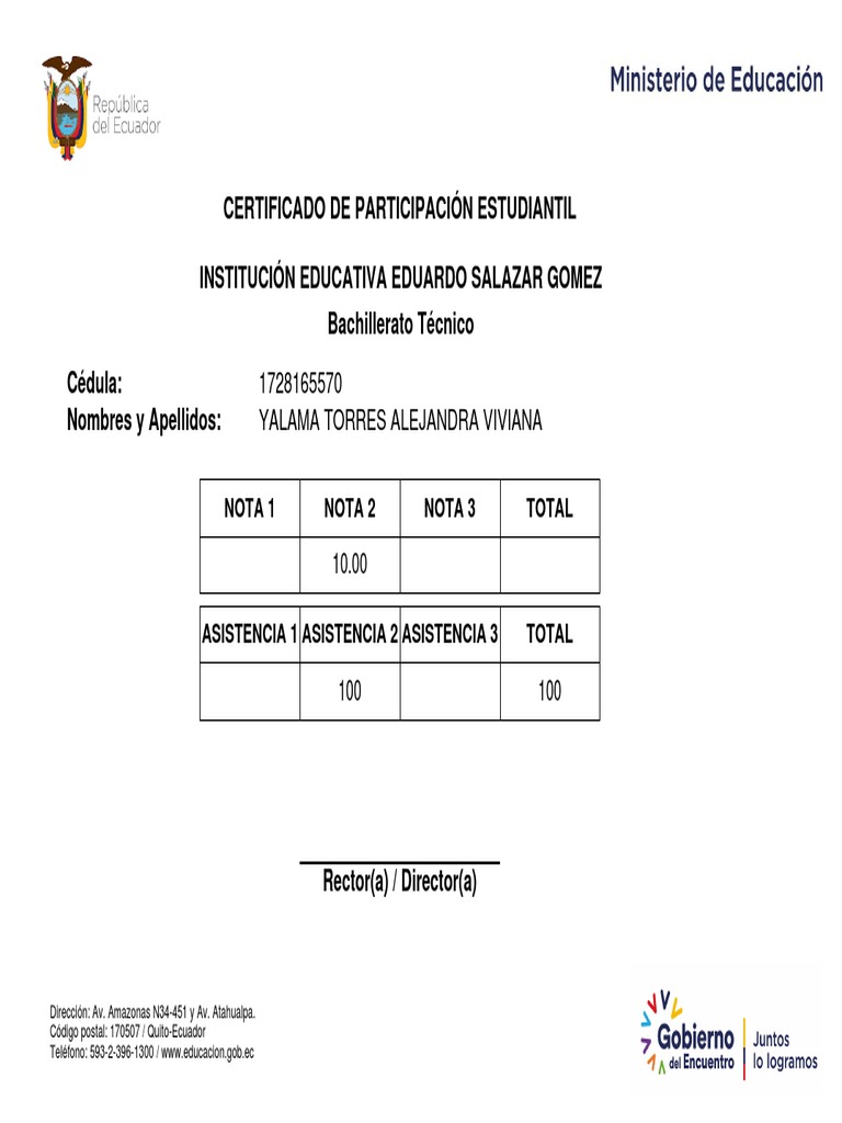 Reporte Ppe Ale | PDF