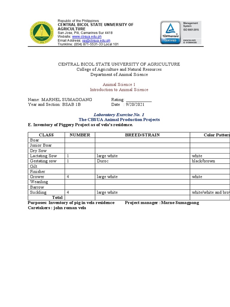 CBSUA Animal Science Piggery Inventory | PDF | Pig | Health Sciences