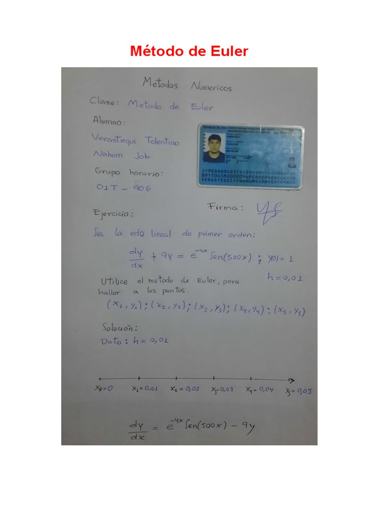 Método de Euler paso a paso | PDF