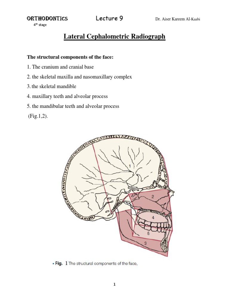 Lecture 9 Cephalometric Analysis 4th Stage | PDF | Human Head And Neck ...