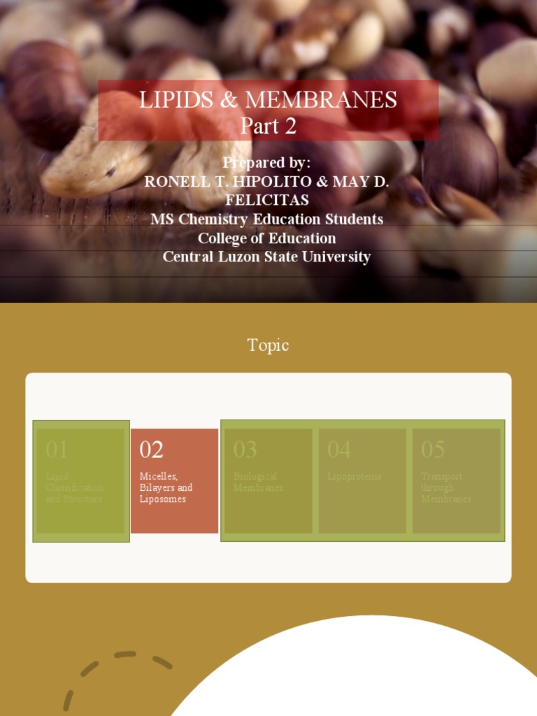 Micelles, Bilayers, and Liposomes | PDF | Cell Membrane | Lipid Bilayer