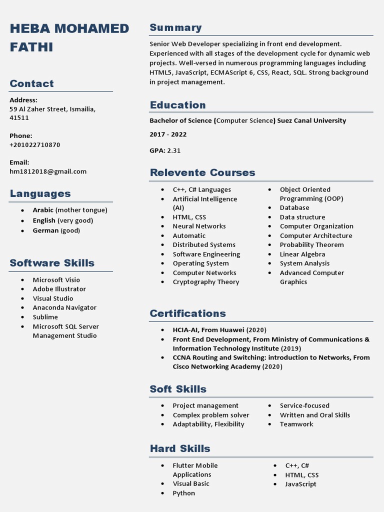 Heba CV | Download Free PDF | World Wide Web | Internet & Web