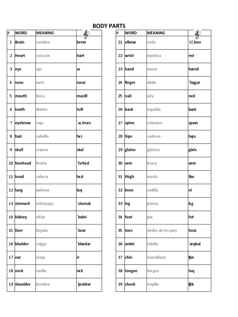 Body Parts | PDF