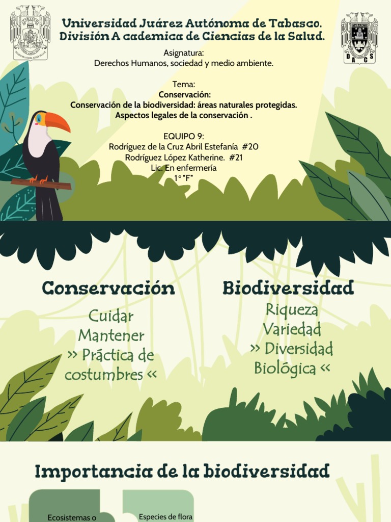 Equipo9 - ConservaciÃ N de La Biodiversidad | PDF | Biodiversidad | Biología de la Conservación