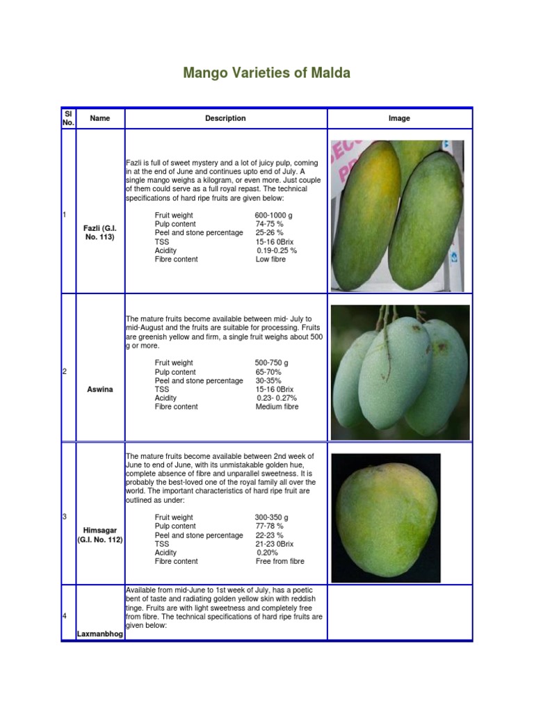 Aswina Mango From Malda Adv Booking Open | PDF | Mango | Taste