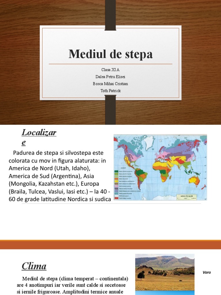 Mediul de Stepa | PDF
