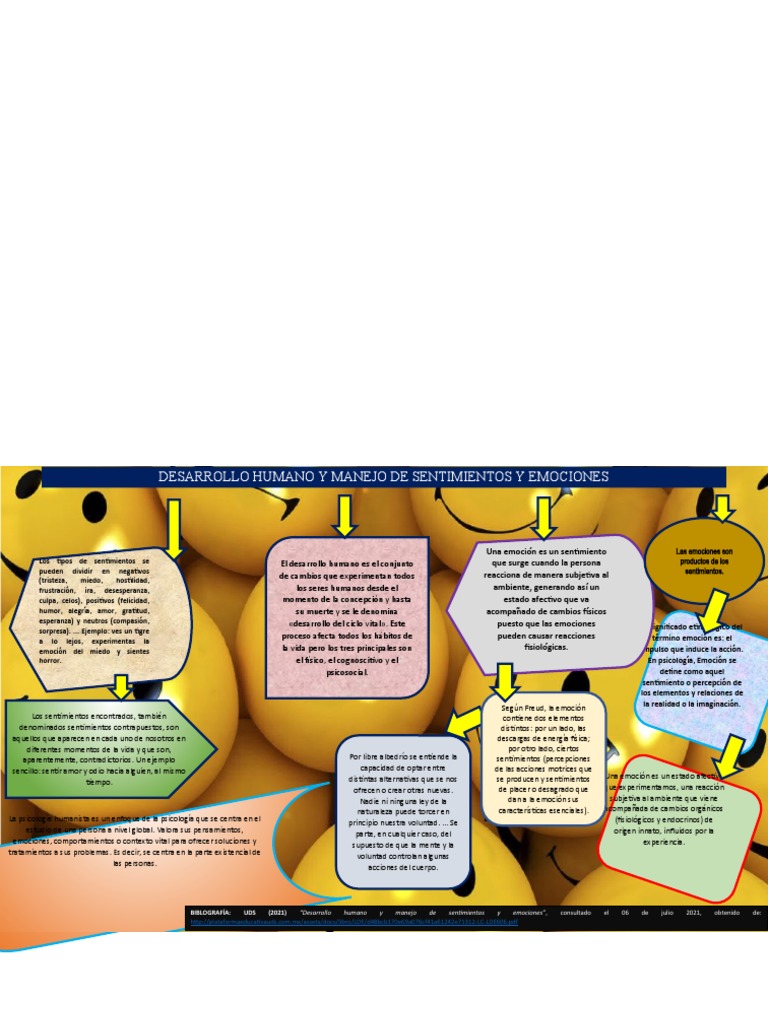 Super Nota Sentimientos y Emociones | PDF | Las emociones | Amor