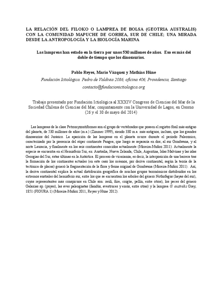 Reyes Et Al. 2014 - Geotria Australis y El Pueblo Mapuche en Gorbea | PDF | Chile | Vino