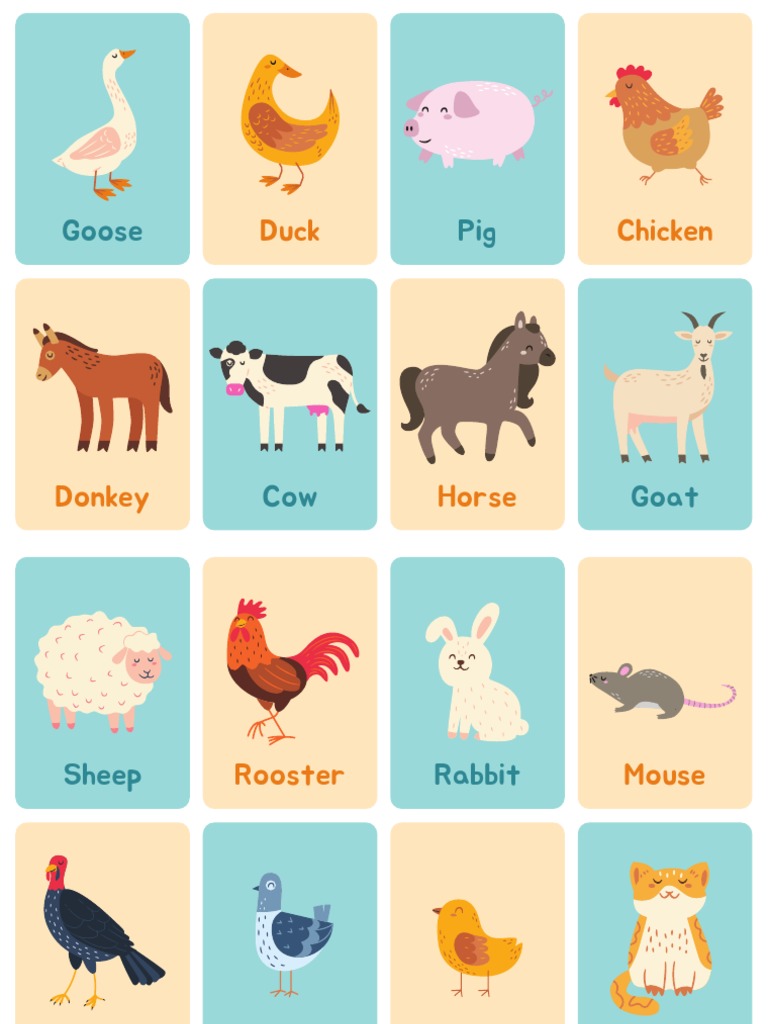 Animals Handdrawn Flashcard Sheets | PDF