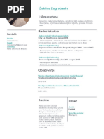 CV Template | PDF