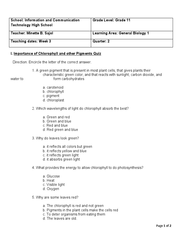 Grade 11 Biology: Chlorophyll Quiz | PDF | Home & Garden | Wellness