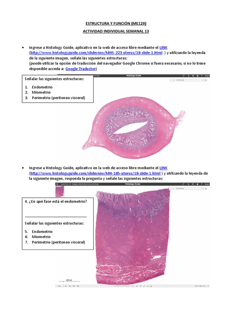 ME129 EyF TAREA Sem13 27 | PDF