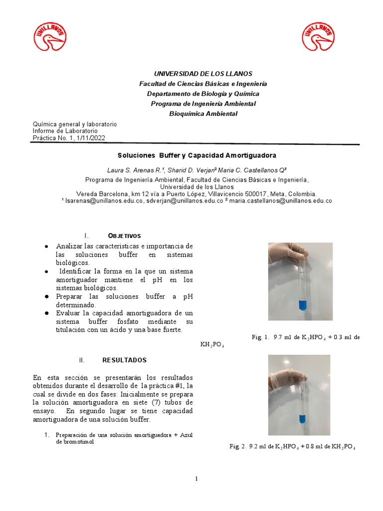 Soluciones Buffer - Inf#1 | PDF
