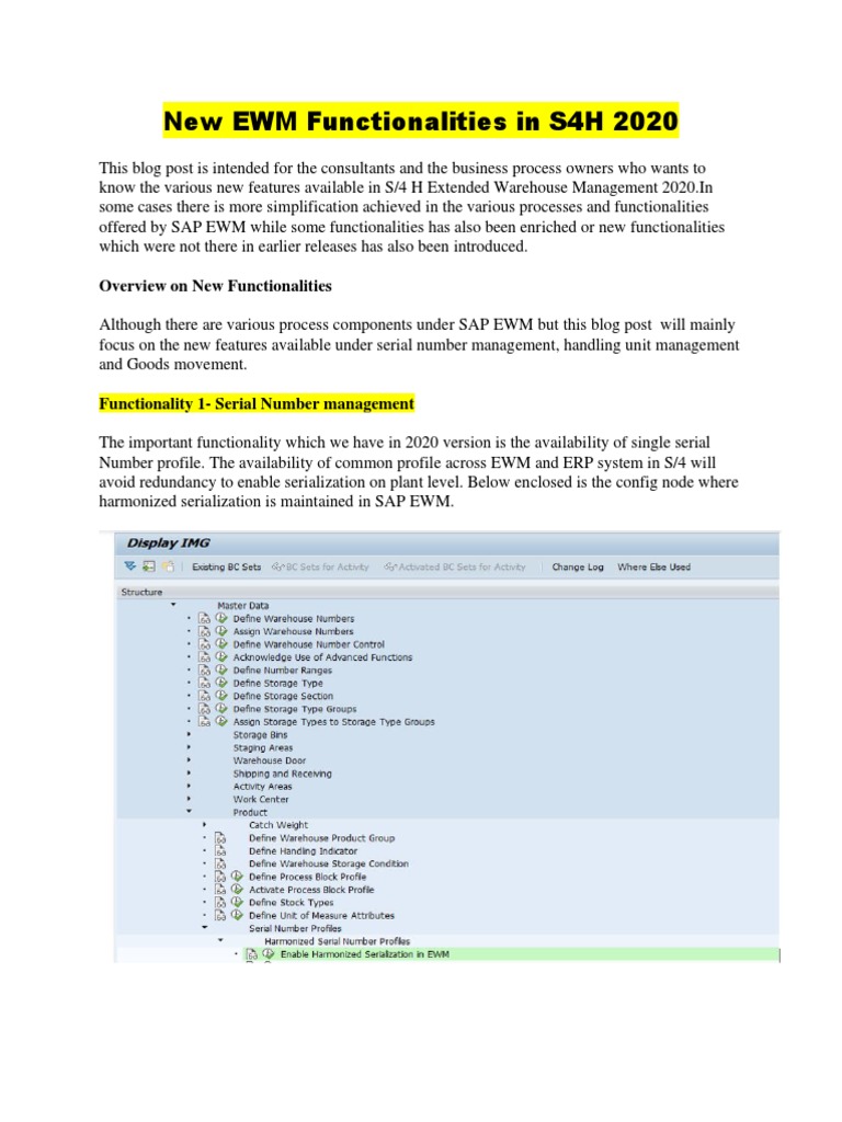 SAP EWM S4H 2020 - New Functionalities in Serialization HU-2 | PDF | Warehouse | Computing