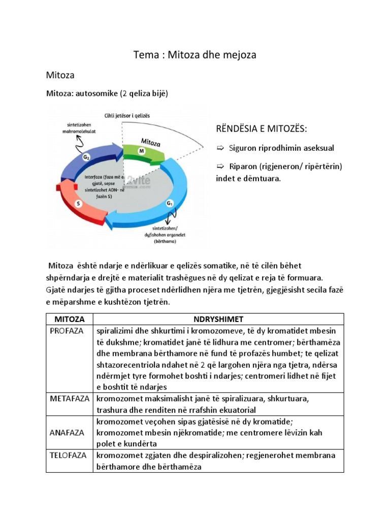 Tema: Mitoza Dhe Mejoza | PDF