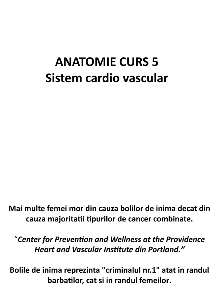 ANATOMIE 5 Angiologie | PDF