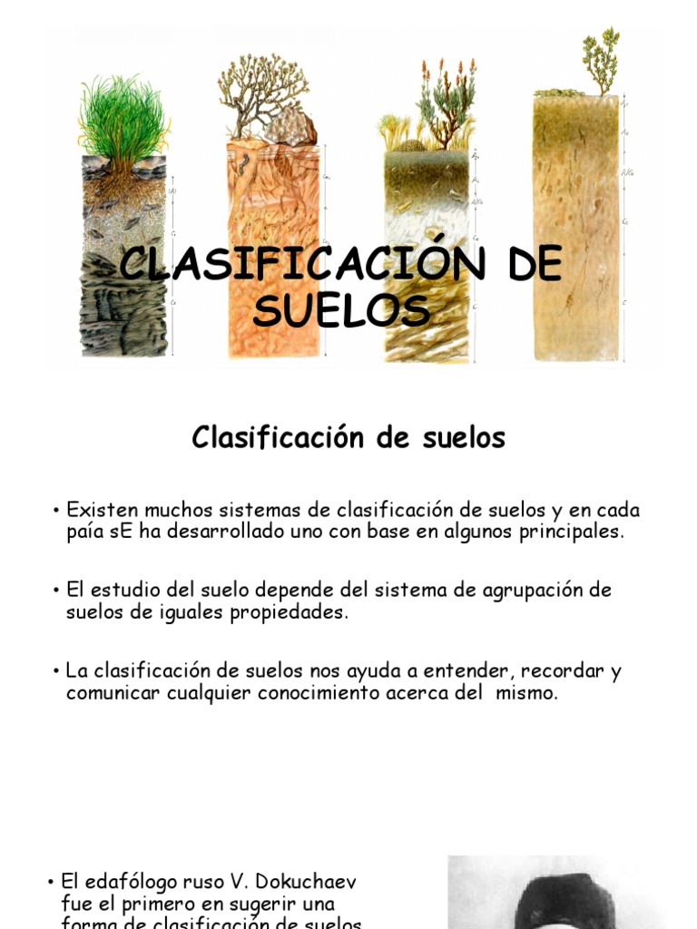 CLASIFICACIÓN DE SUELOS | PDF | Suelo | Roca (geología)