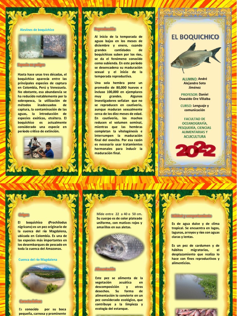 Boquichico-Andre Soto-Triptico | PDF