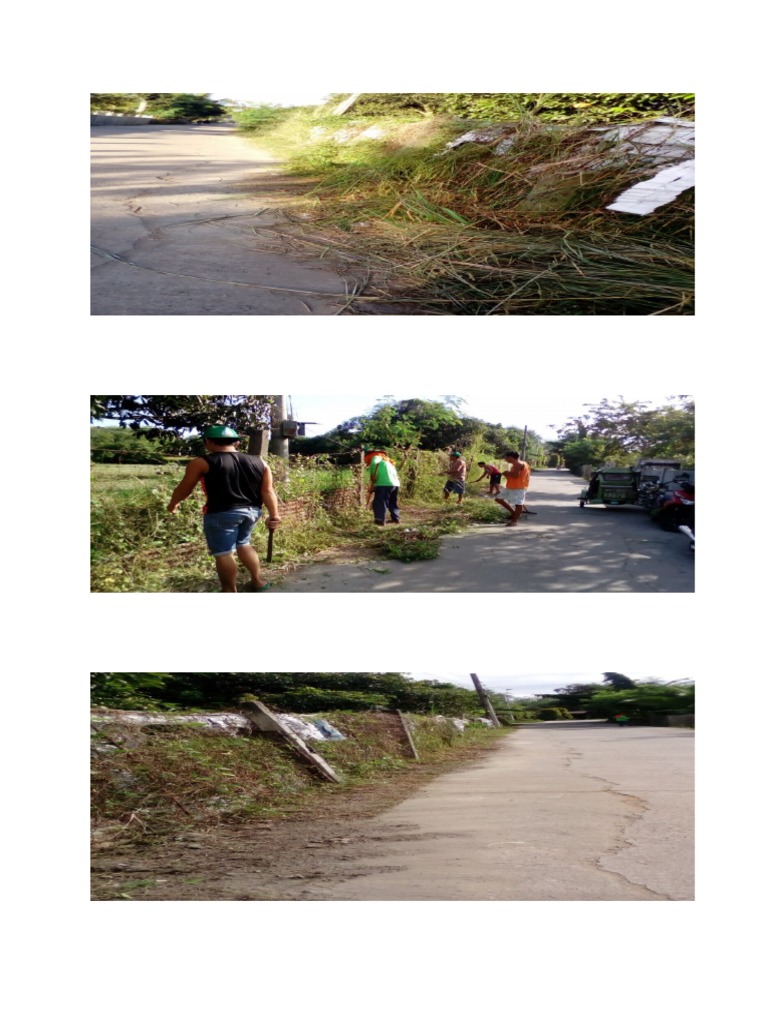 Picture Before & After | PDF