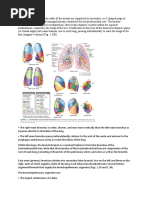 Respiratory System | PDF | Respiratory Tract | Thorax