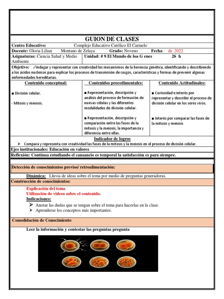 Mitosis y Meiosis: Proceso de División Celular | PDF | Mitosis | Mitosis