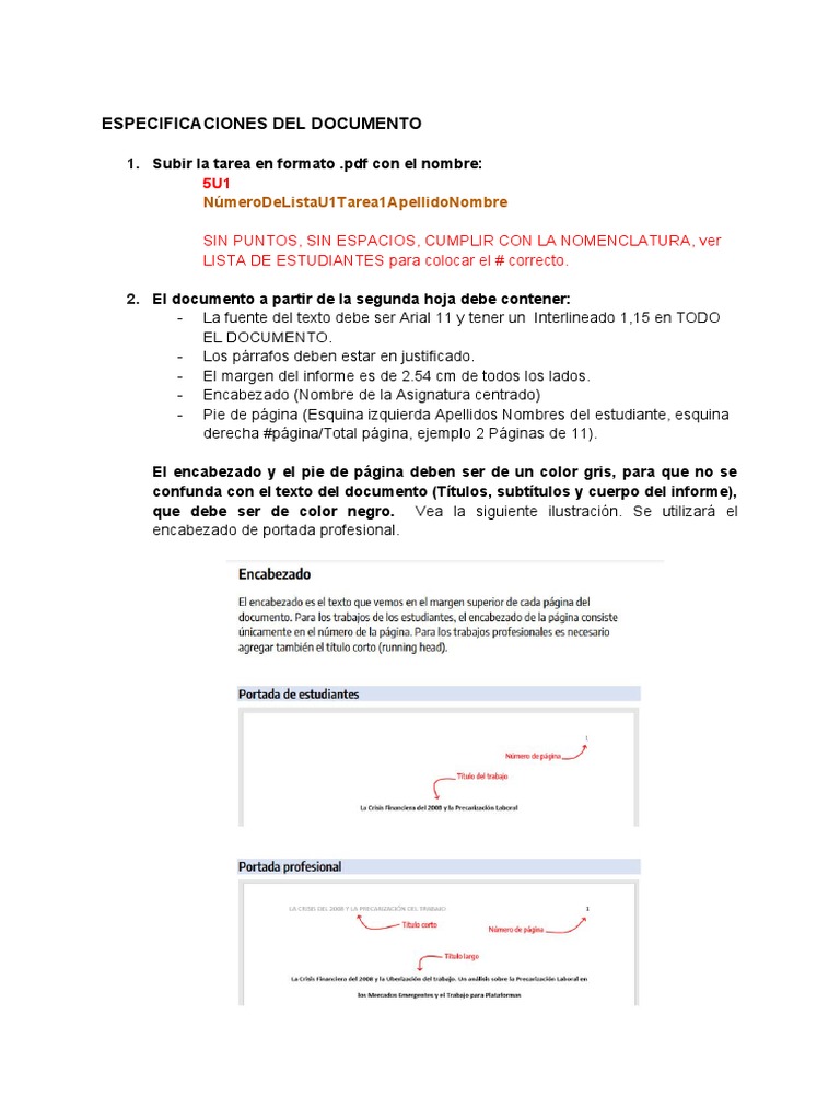 Formato Informe | PDF | Lenguaje de programación | Bibliografía