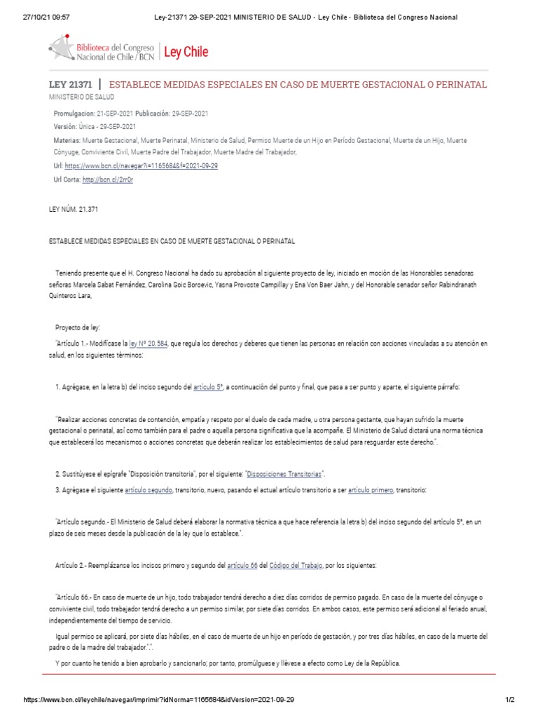 Ley 21371. Ley Dominga. Medidas Especiales en Caso de Muerte Gestacional o Perinatal | PDF ...