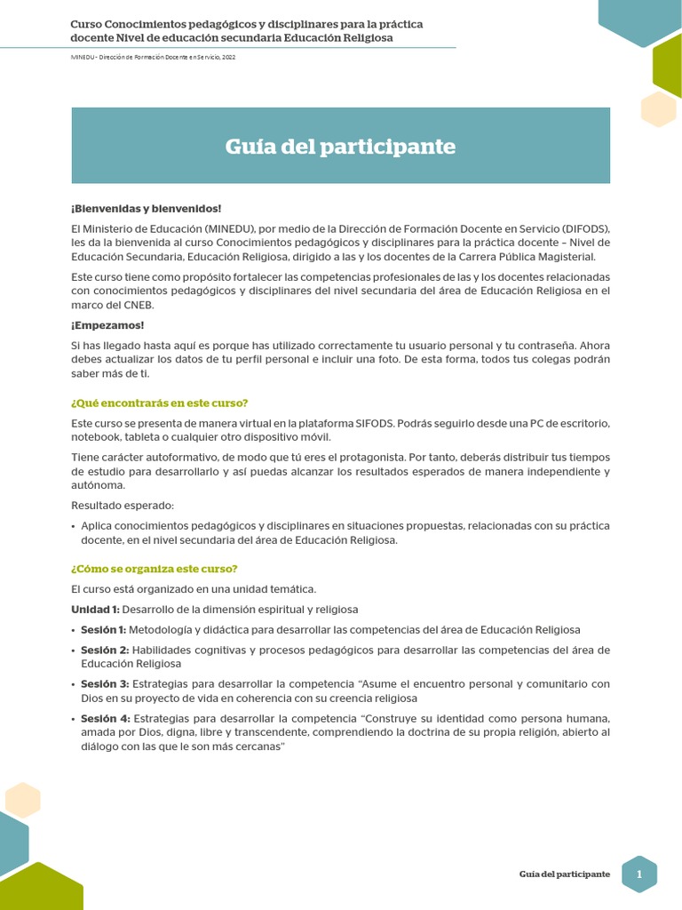 Guía Del Participante | PDF