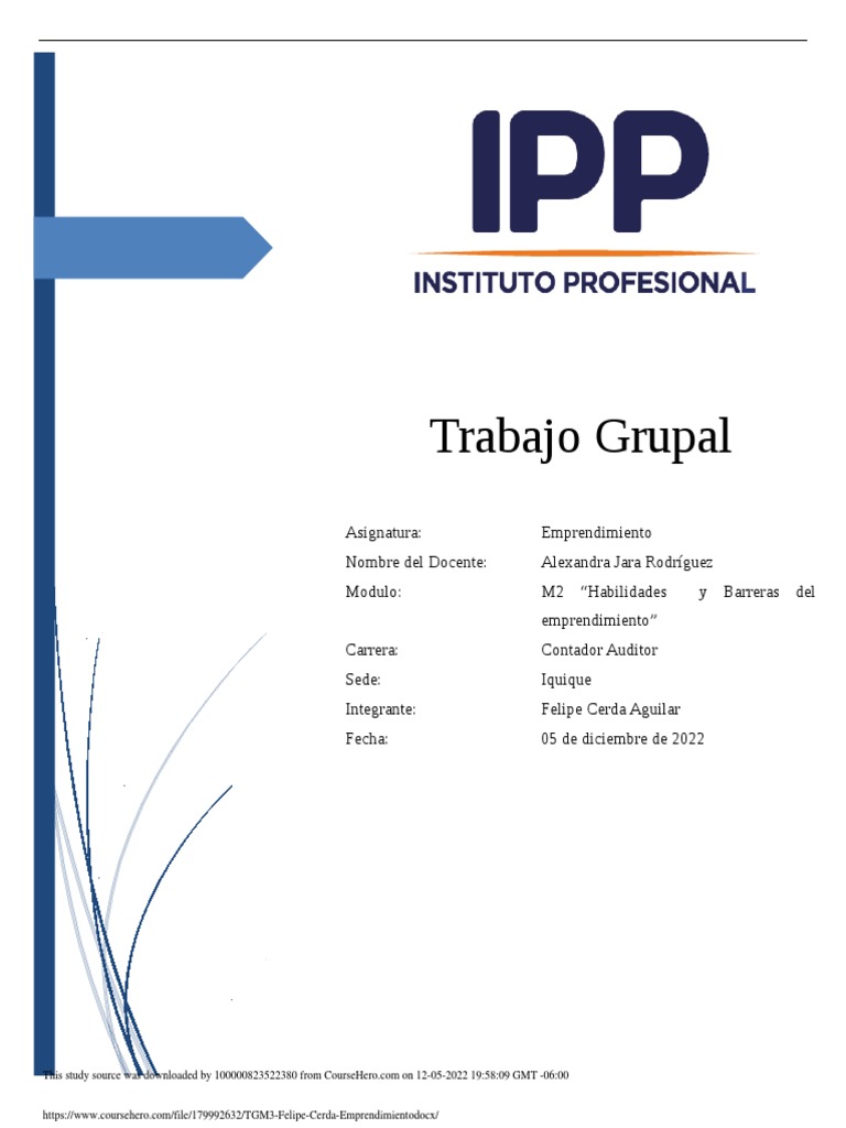 TGM3 Felipe Cerda Emprendimiento | PDF | Iniciativa empresarial | Business