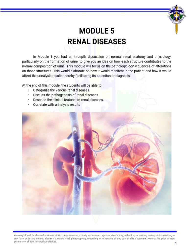 Aubf M5u1 (Highlighted) | PDF | Urinary Tract Infection | Kidney