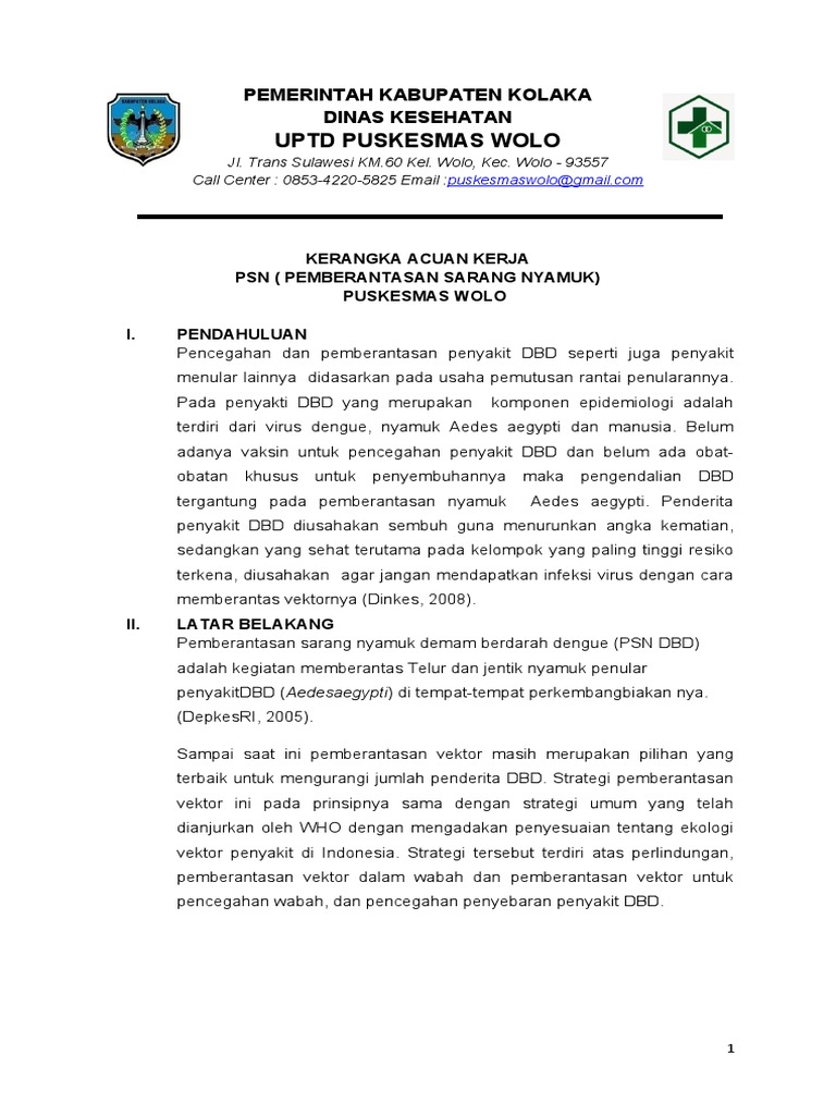 Kerangka Acuan Kerja PSN | PDF